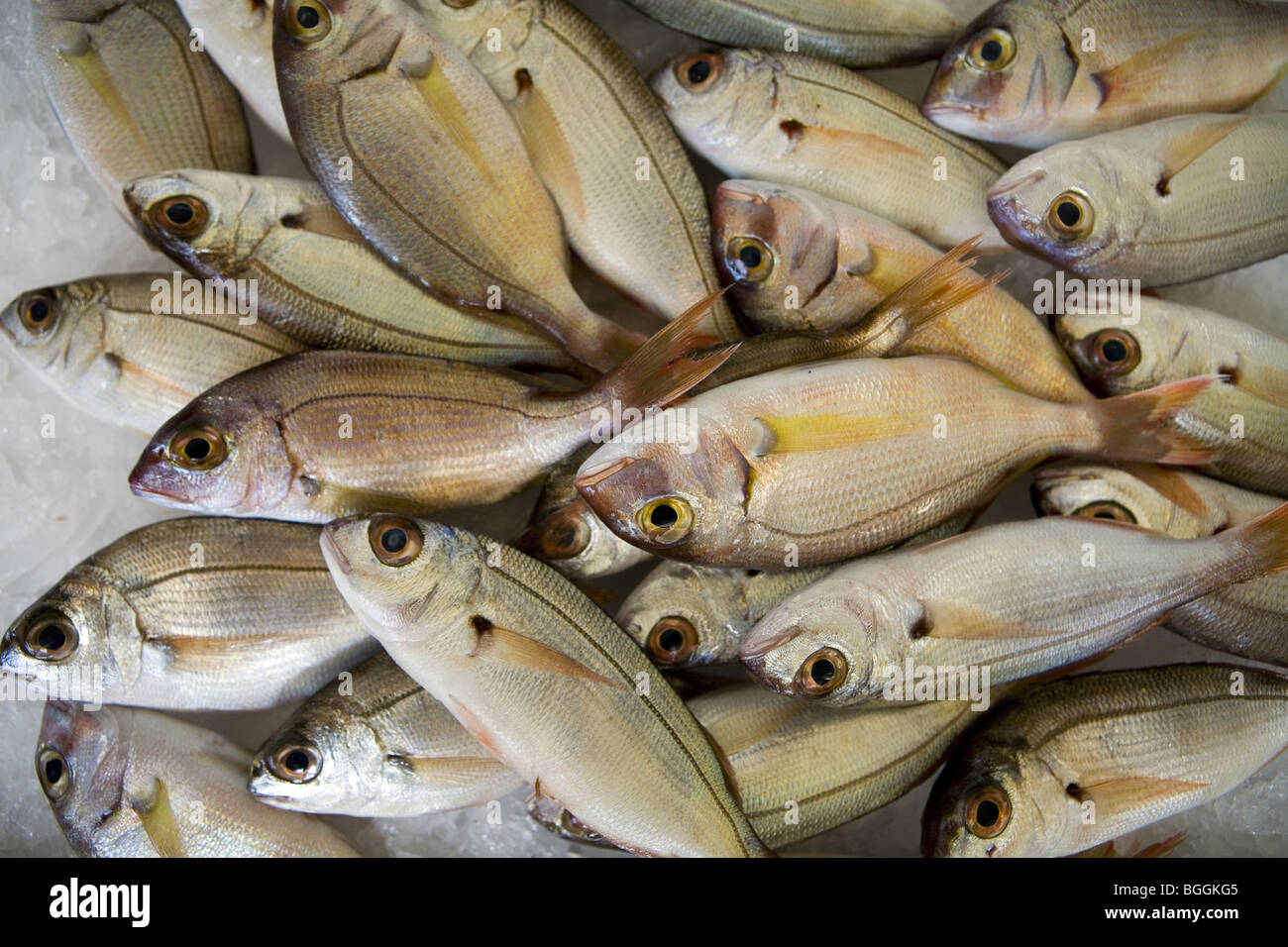 Fish on market, Funchal, Madeira Stock Photo - Alamy
