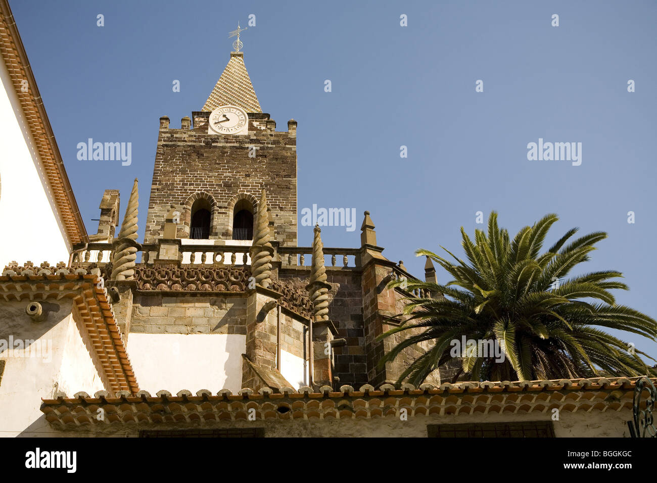 Funchal church palm portugal hi-res stock photography and images - Alamy