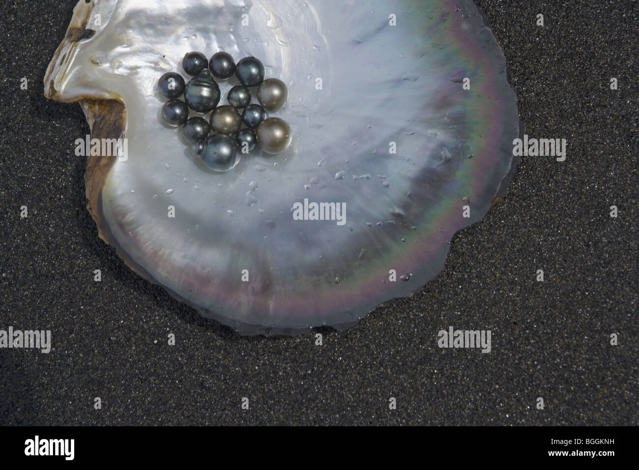 Sea shell pearls hi-res stock photography and images - Alamy