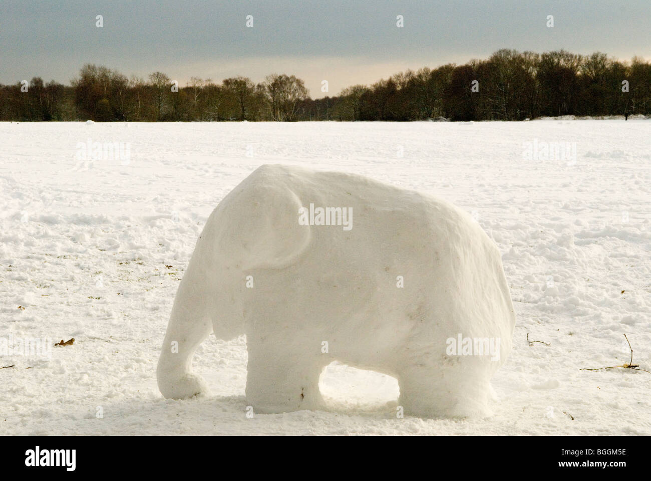 Winter landscape a White Elephant wintery scene snow animal Wimbledon ...