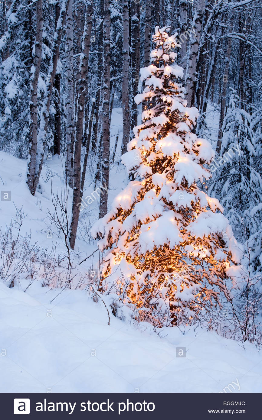Alaska Christmas Stock Photos & Alaska Christmas Stock Images - Alamy
