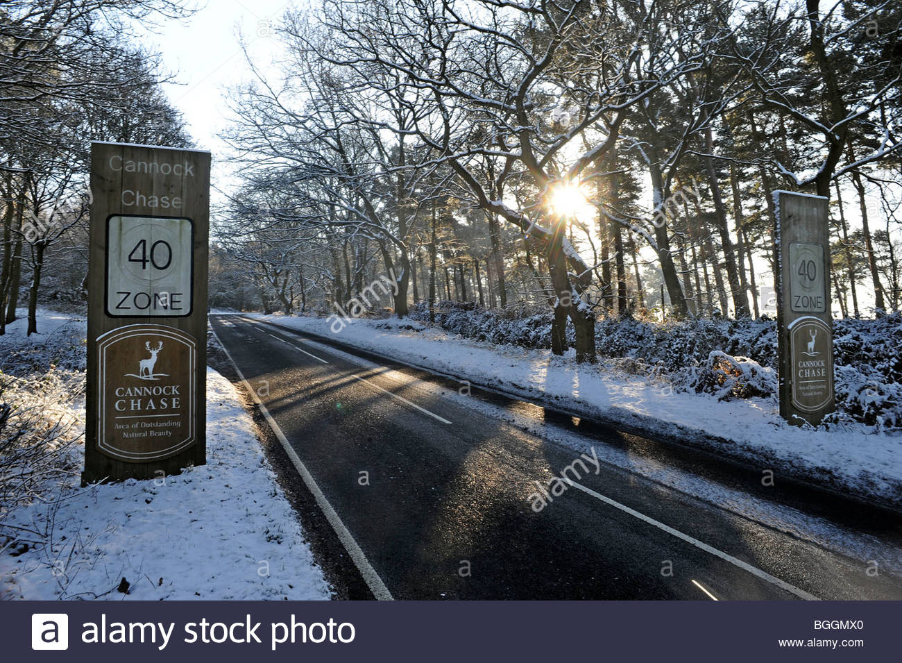 Cannock Forest High Resolution Stock Photography and Images - Alamy