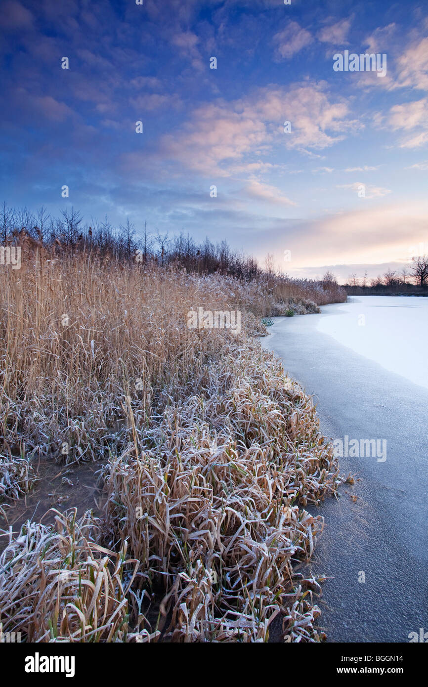 A frozen pond on a cold winter morning Stock Photo - Alamy