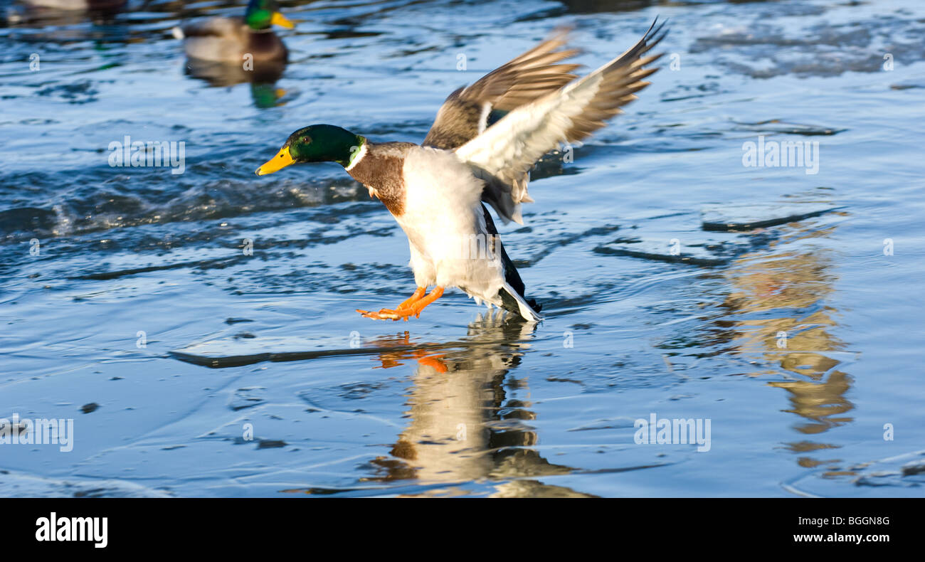 Land slipping hi-res stock photography and images - Alamy