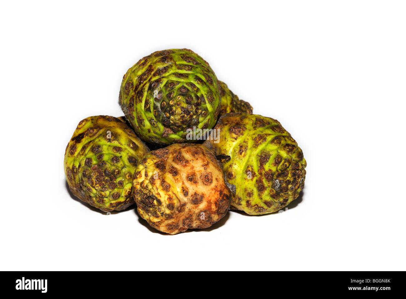 Cheese known Cut Out Stock Images & Pictures - Alamy