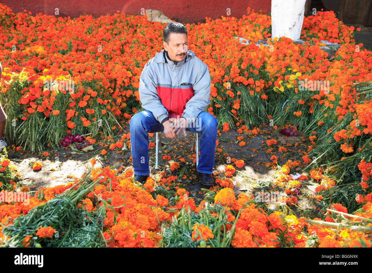 Flower Market, Flowers for decorating graves, Day of the Dead ...
