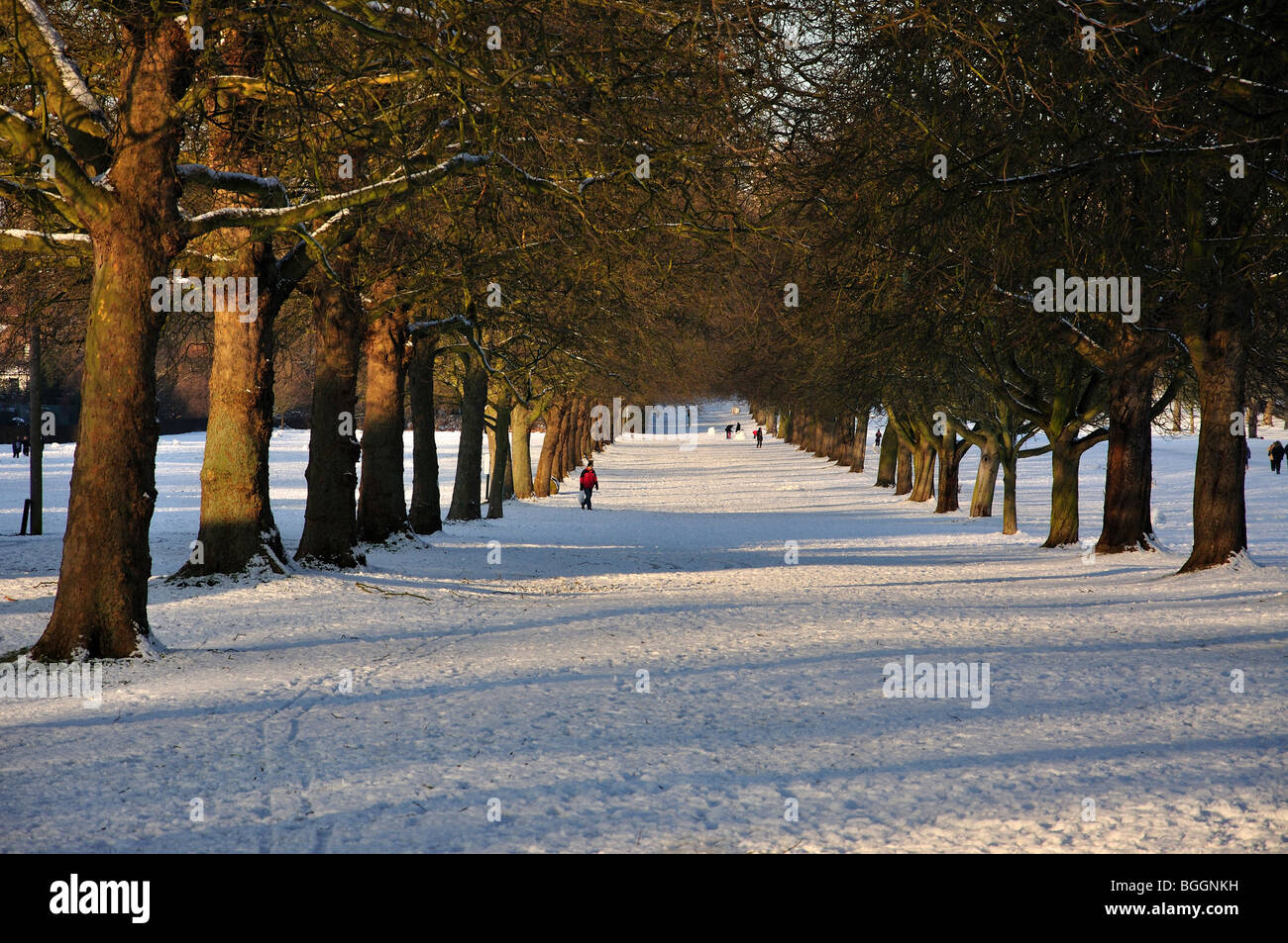 The Long Walk in winter snow, Windsor Castle, Windsor, Berkshire ...