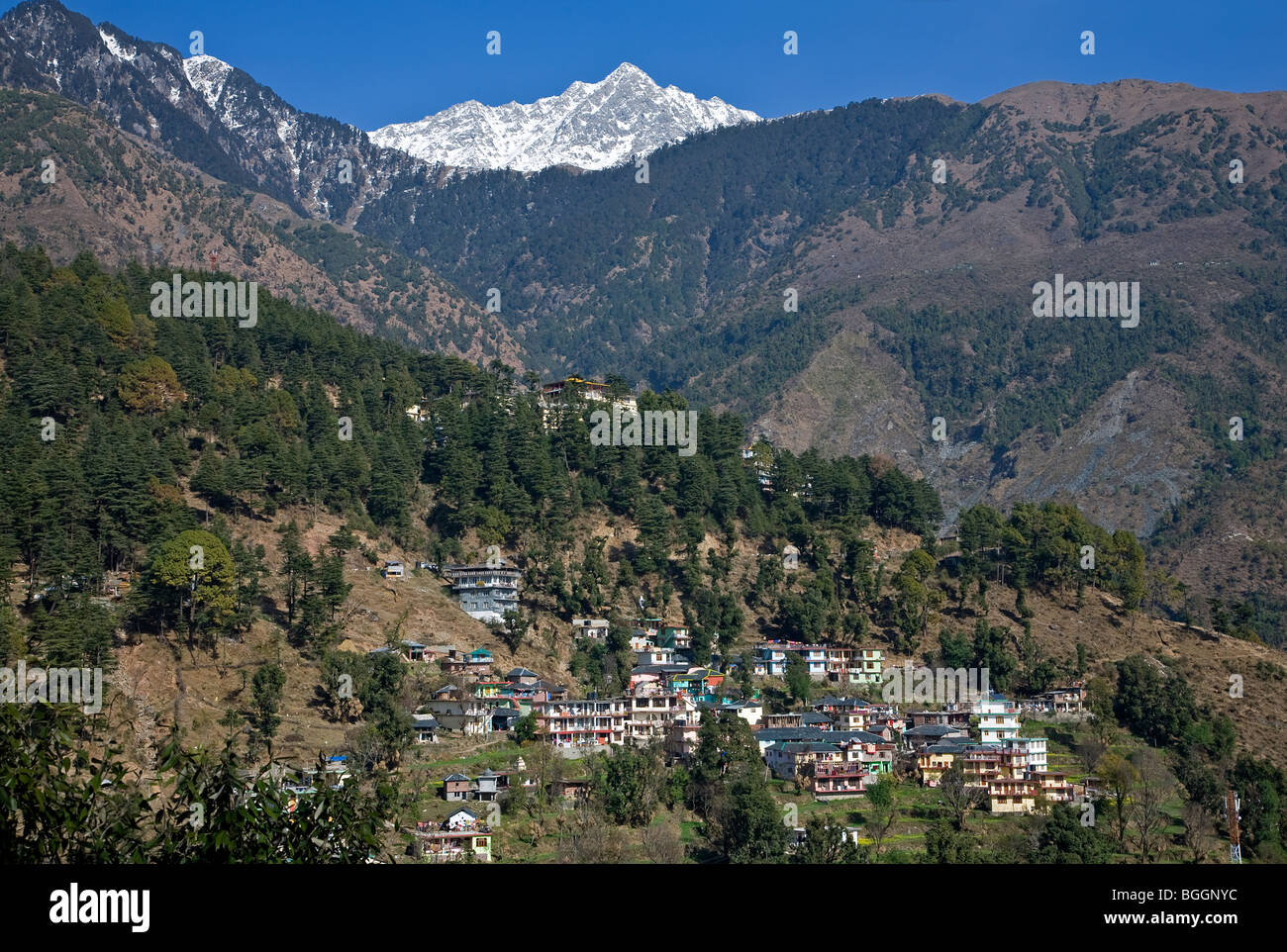 McLeod Ganj. Dharamsala. Himachal Pradesh. India Stock Photo - Alamy