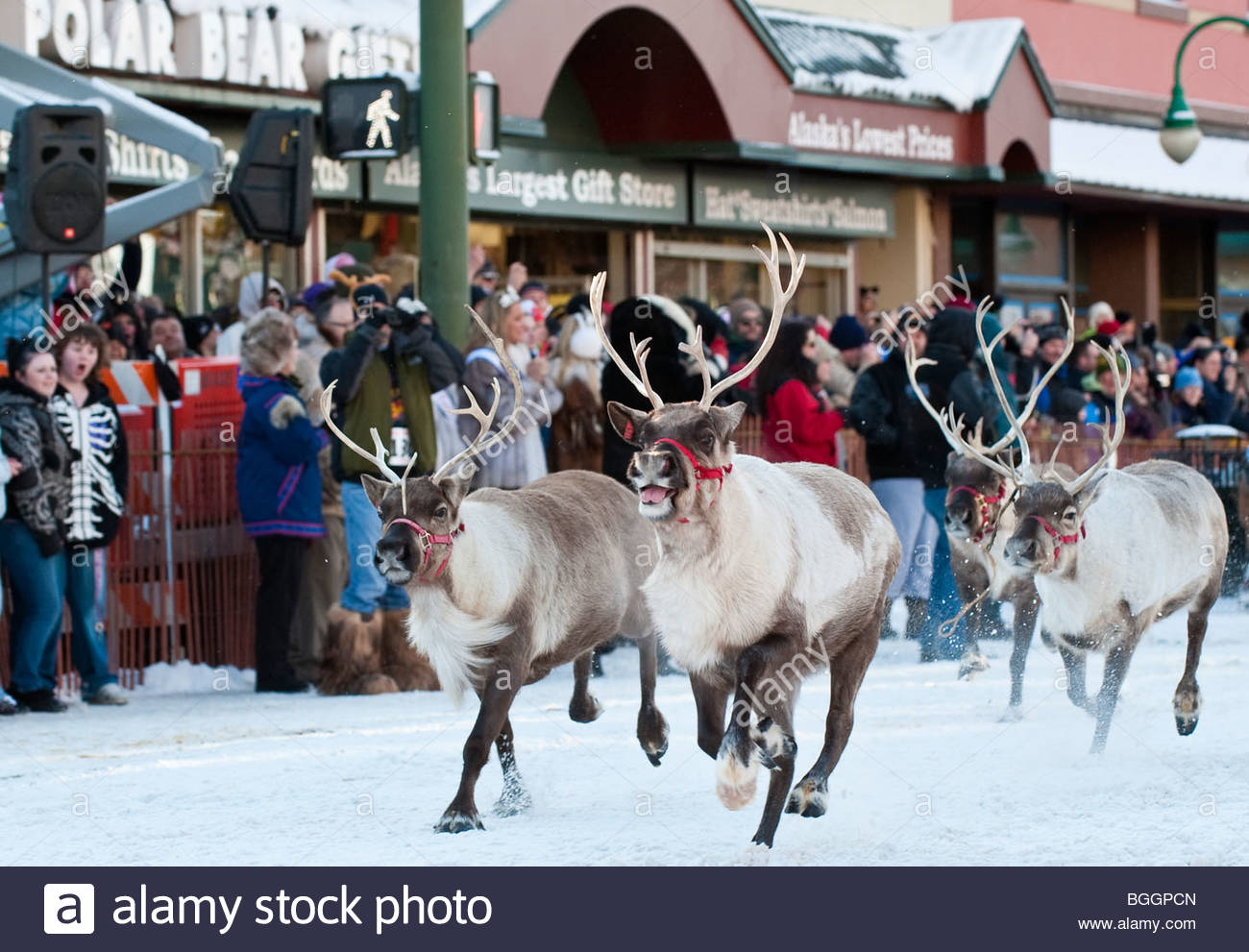 Fur Rondy Stock Photos & Fur Rondy Stock Images - Alamy