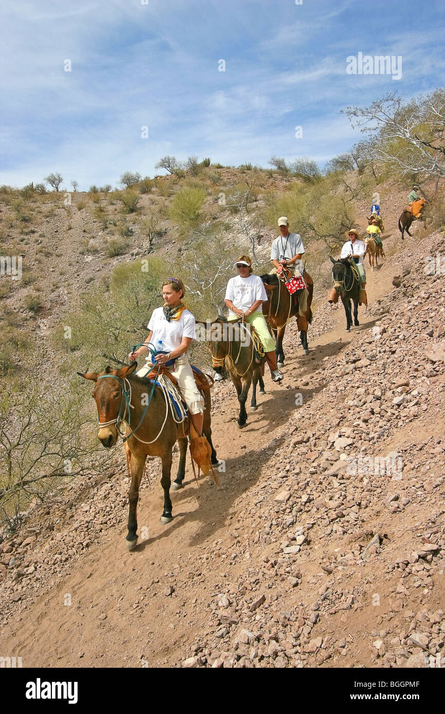 Mule ride through canyons of the Sierra de la Giganta (Mountains of the ...