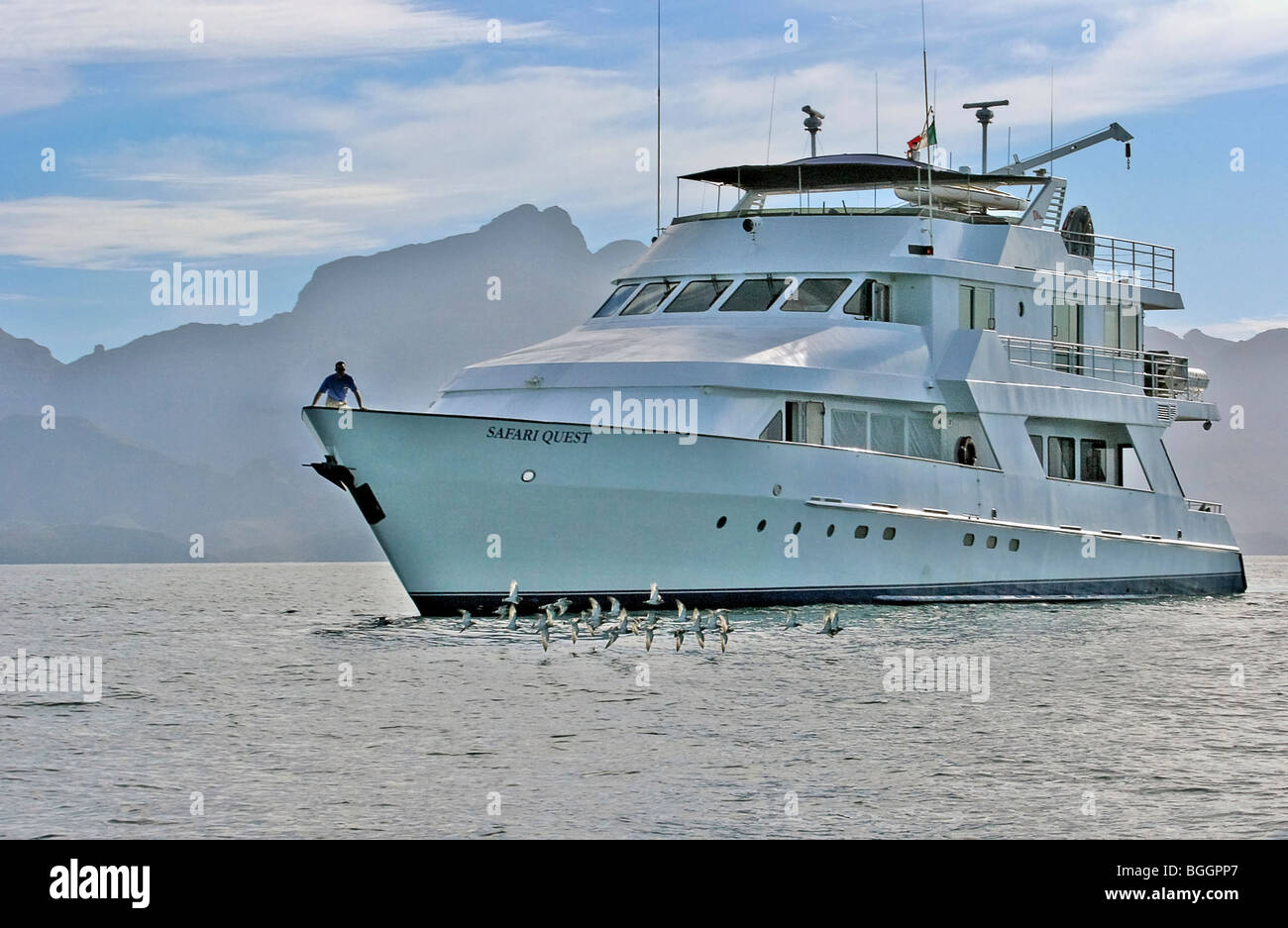 Flock of birds flies past Safari Quest luxury cruise ship, Sea of ...