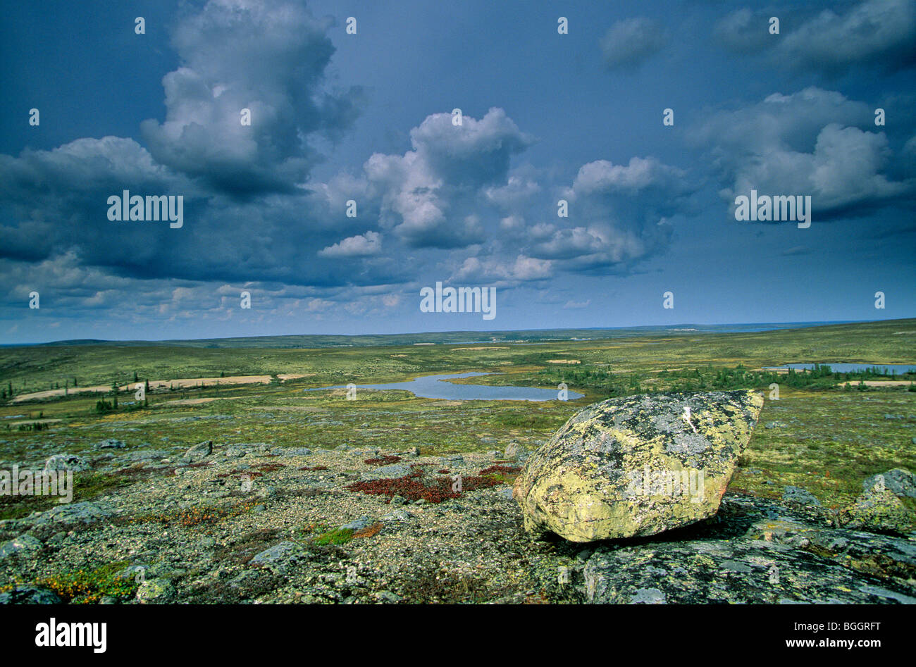Glacial erratic rock on tundra near Whitefish Lake in the Thelon Valley ...