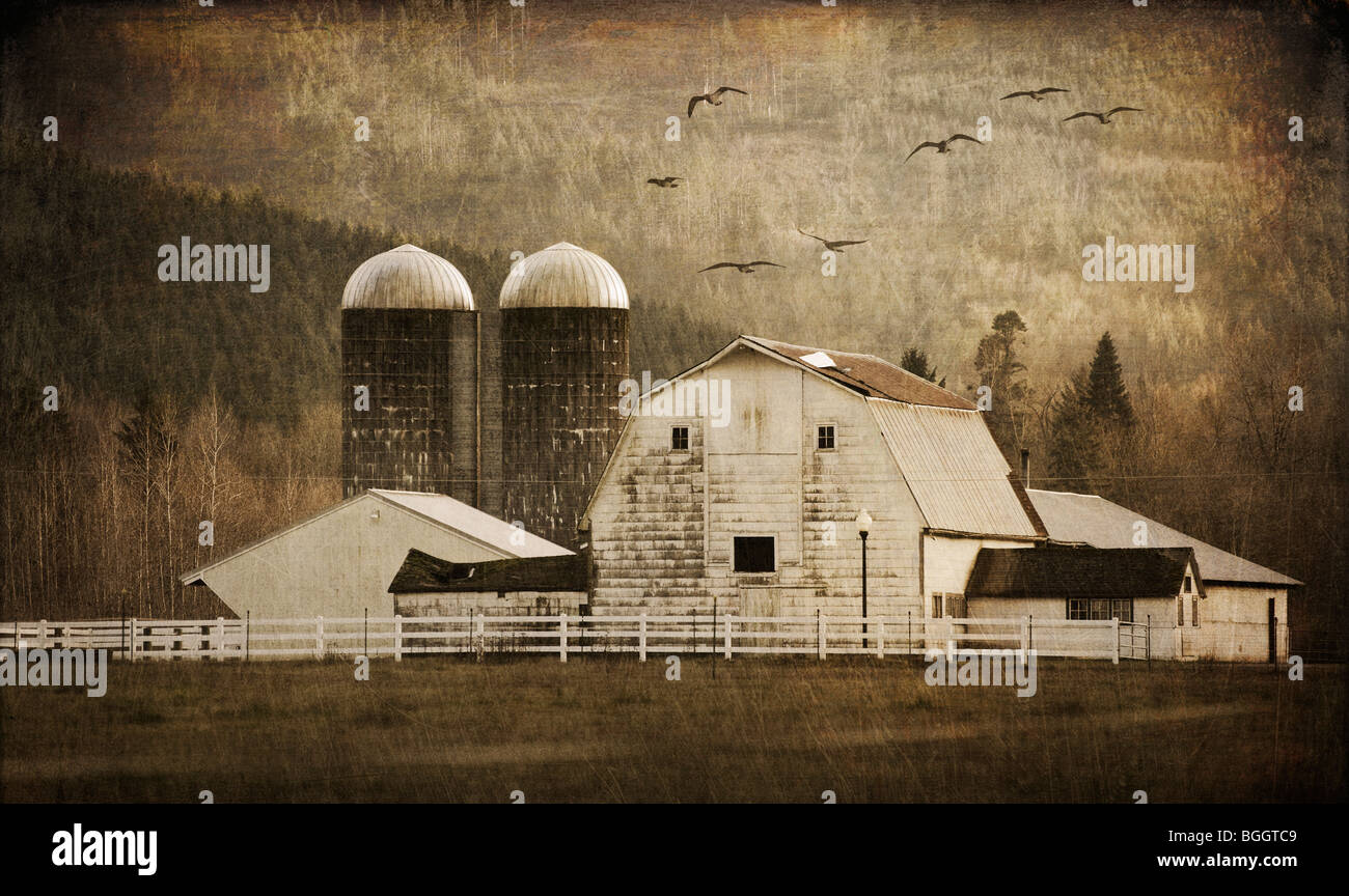 Corn barn silo agriculture farm rural hi-res stock photography and ...