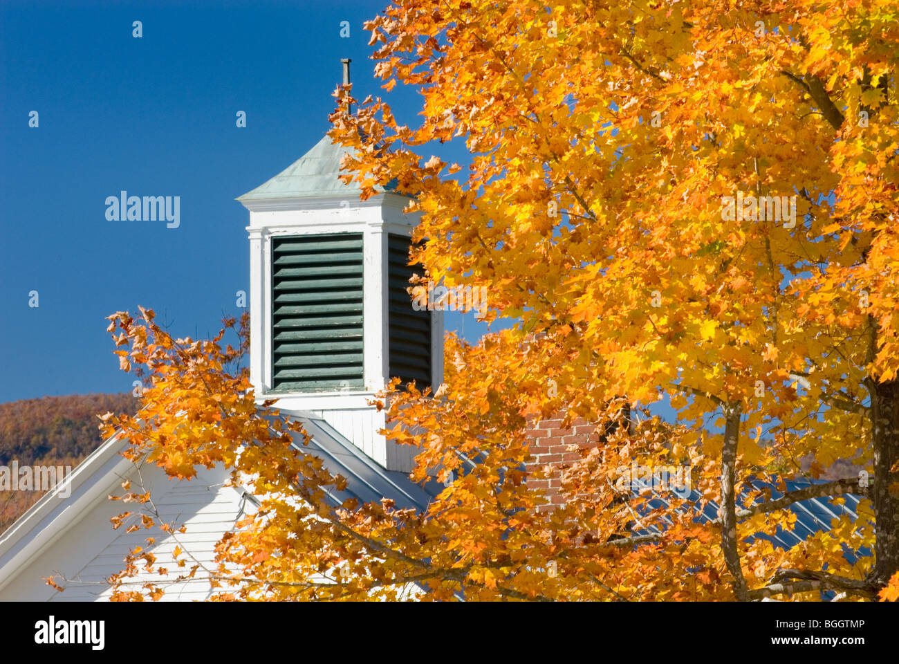 White church and maple trees in autumn Landgrove Vermont USA Stock ...