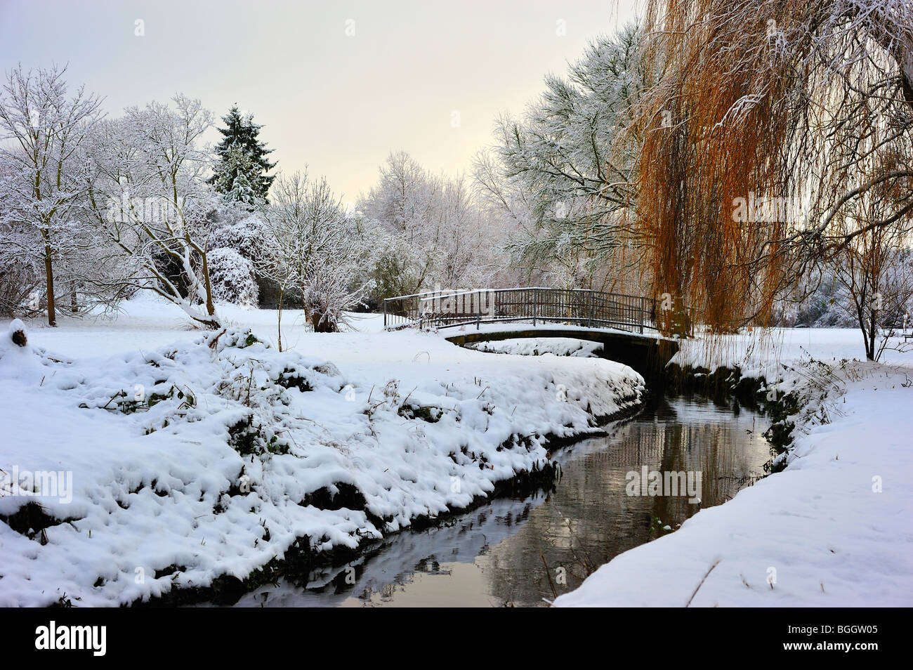 Willow lea hi-res stock photography and images - Alamy