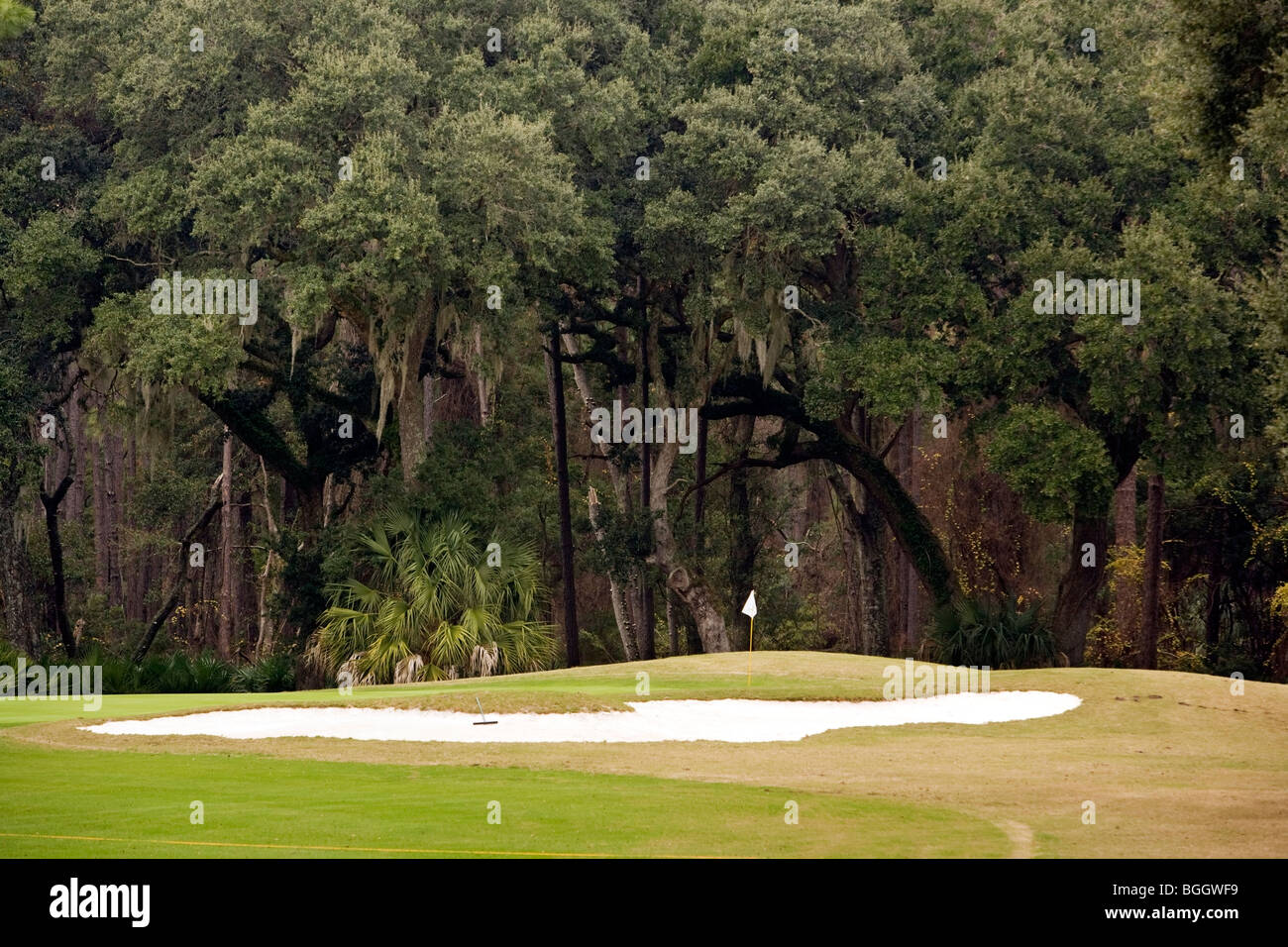 Golf course - Jekyll Island, Georgia USA Stock Photo - Alamy