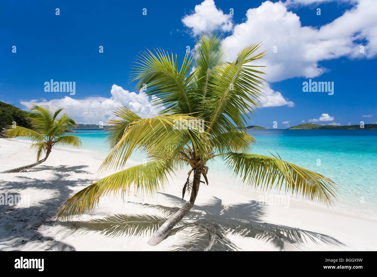 tropical beach in caribbean islands Stock Photo - Alamy