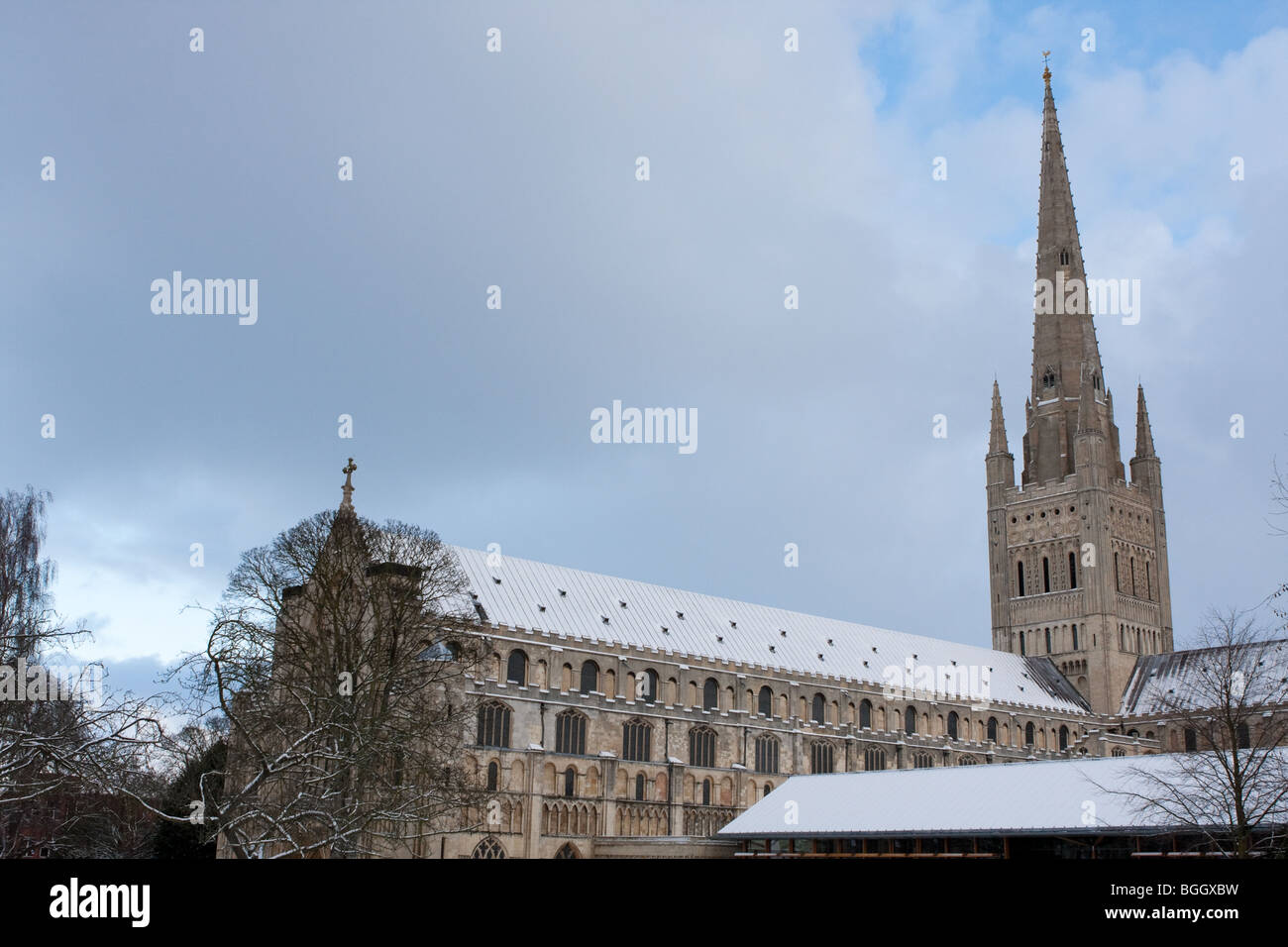 Norwich Cathedral in Norfolk after the record UK Snowfall of early ...