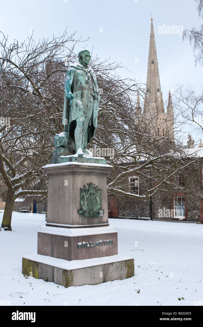 Statue of Wellington Norwich Cathedral in Norfolk after the record UK ...