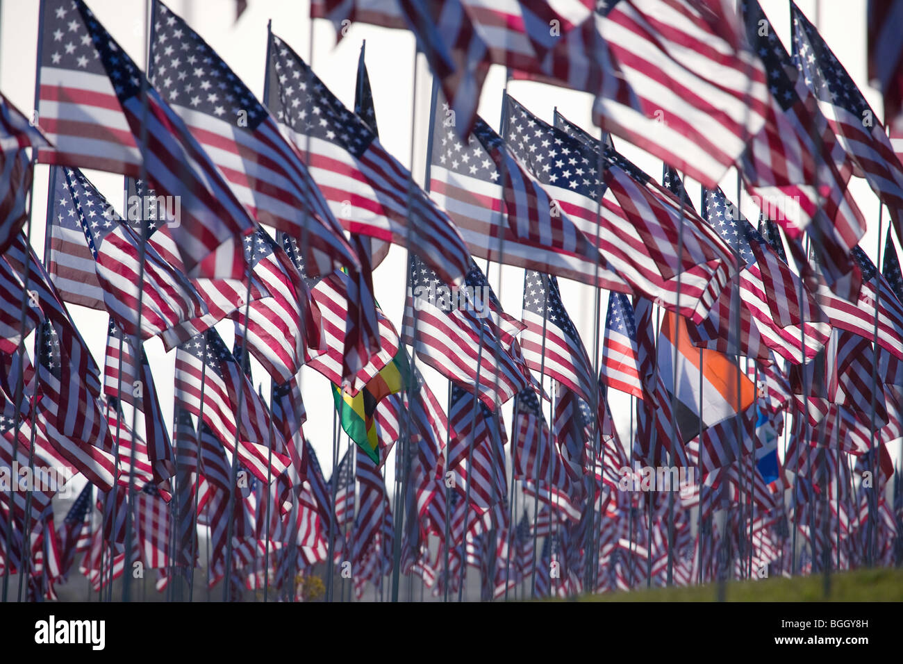 3000 flags hi-res stock photography and images - Alamy