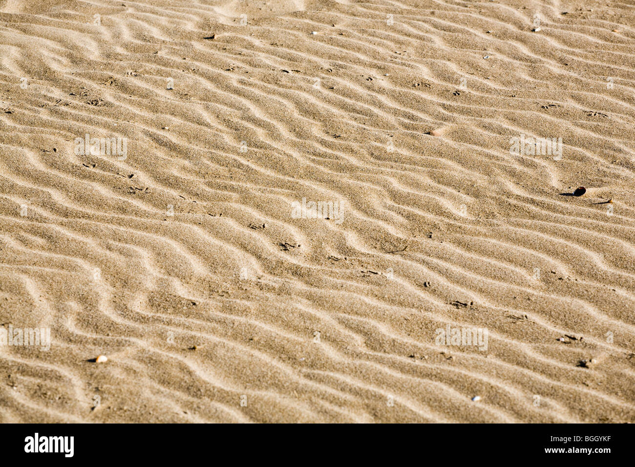 ripples in the sand beach Stock Photo - Alamy
