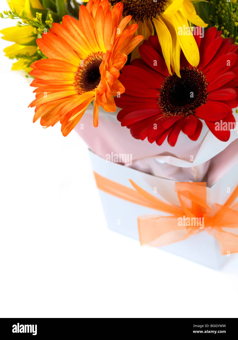 A box of flowers isolated against a white background Stock Photo - Alamy