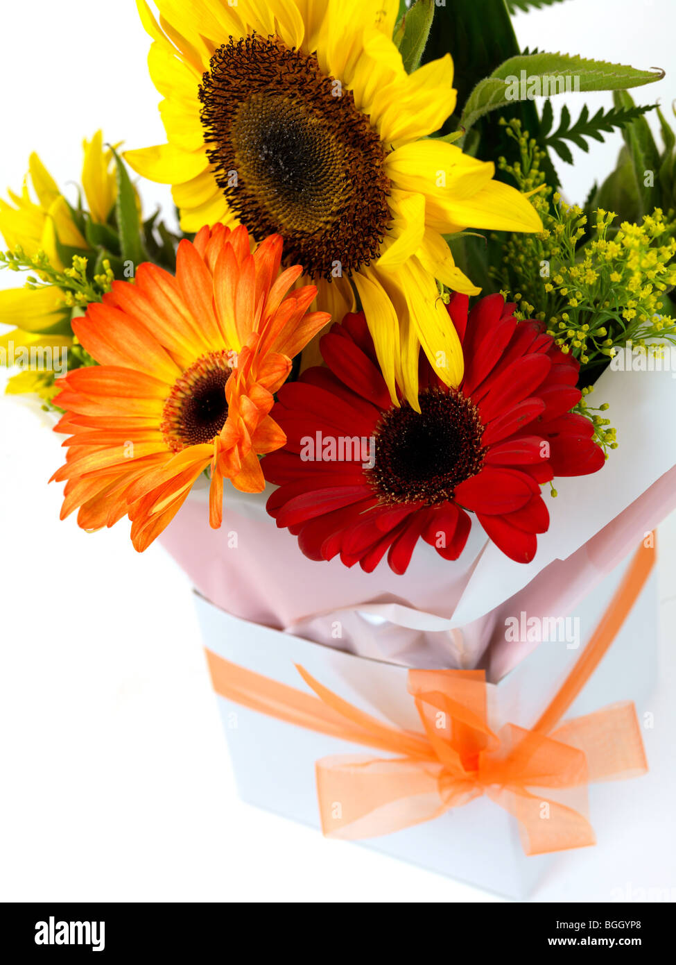 A box of flowers isolated against a white background Stock Photo - Alamy