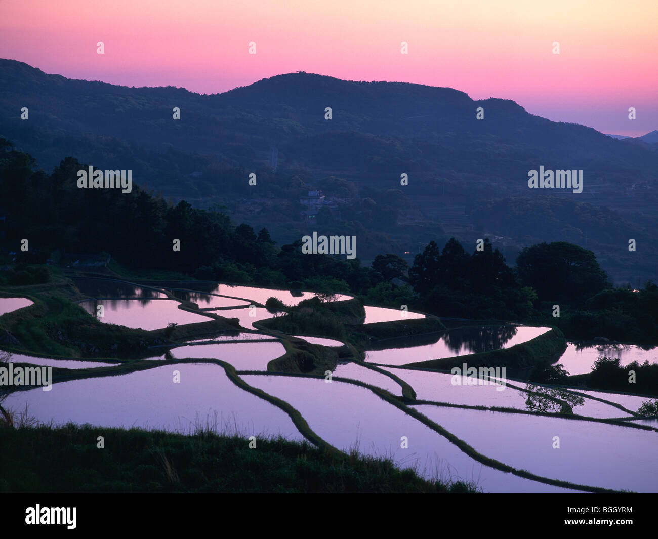 Rice paddy fields, Nagato, Yamaguchi Prefecture, Japan Stock Photo - Alamy