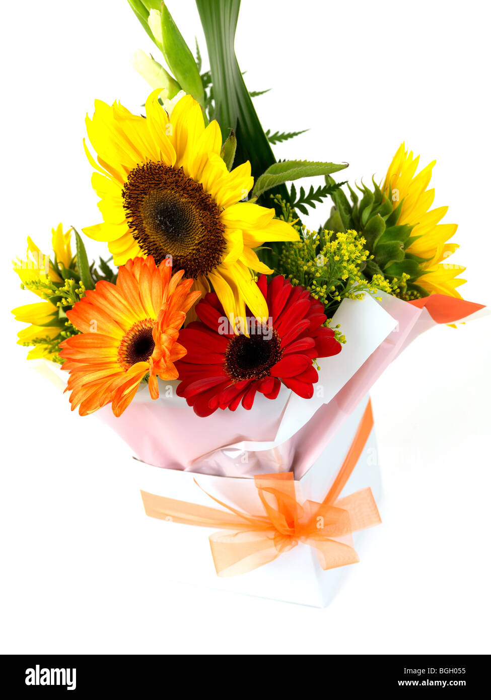 A box of flowers isolated against a white background Stock Photo - Alamy