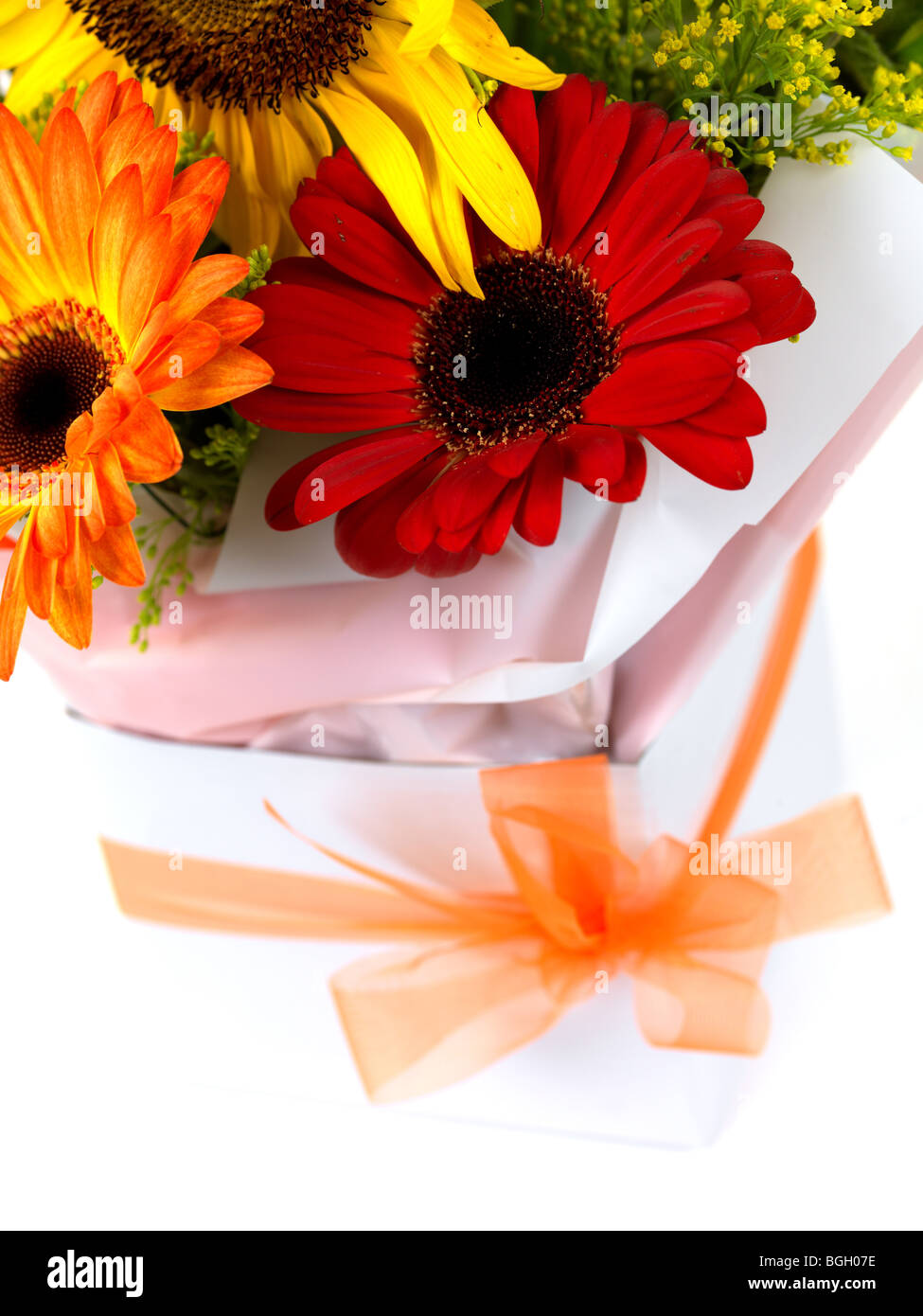 A box of flowers isolated against a white background Stock Photo - Alamy
