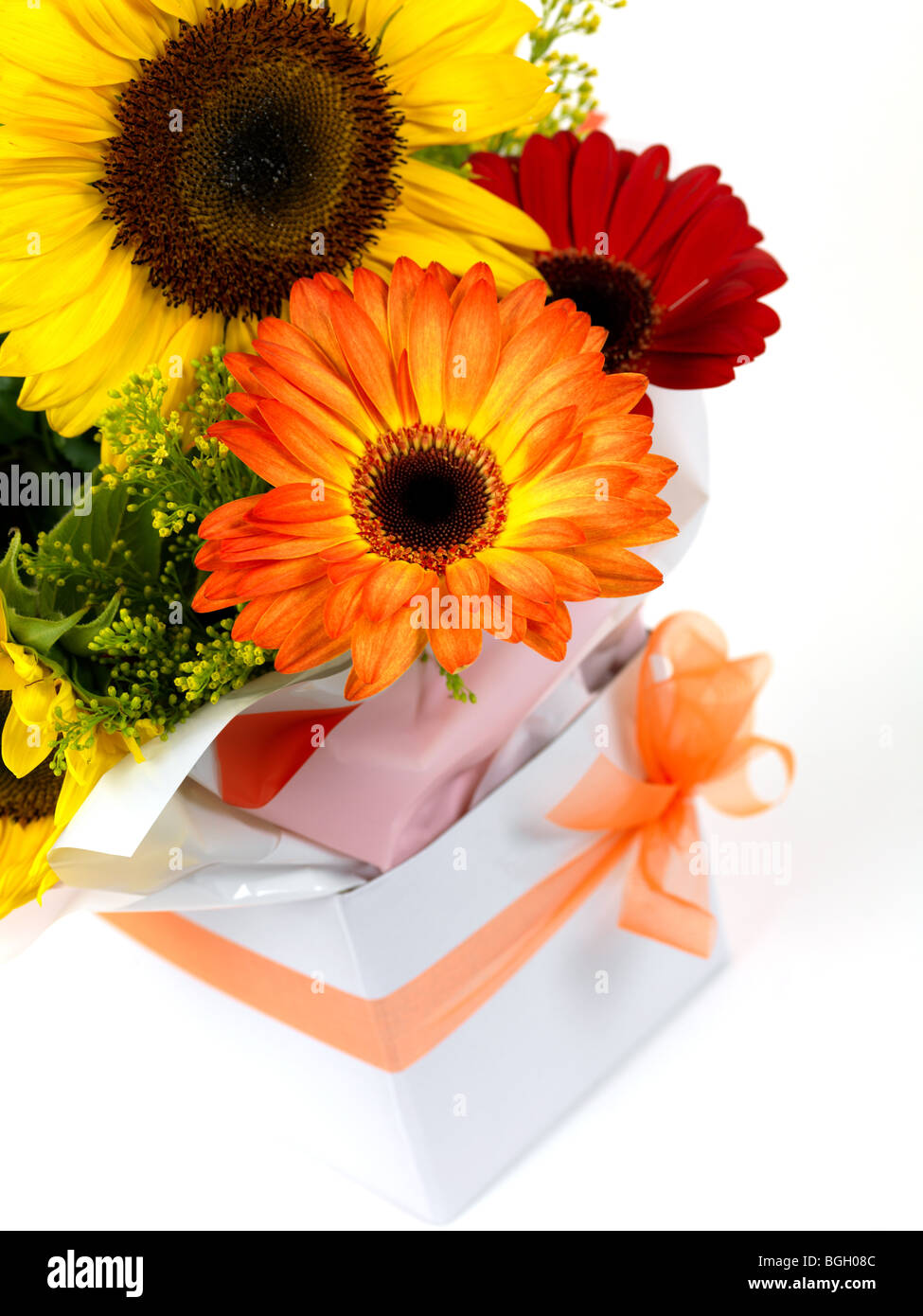 A box of flowers isolated against a white background Stock Photo - Alamy