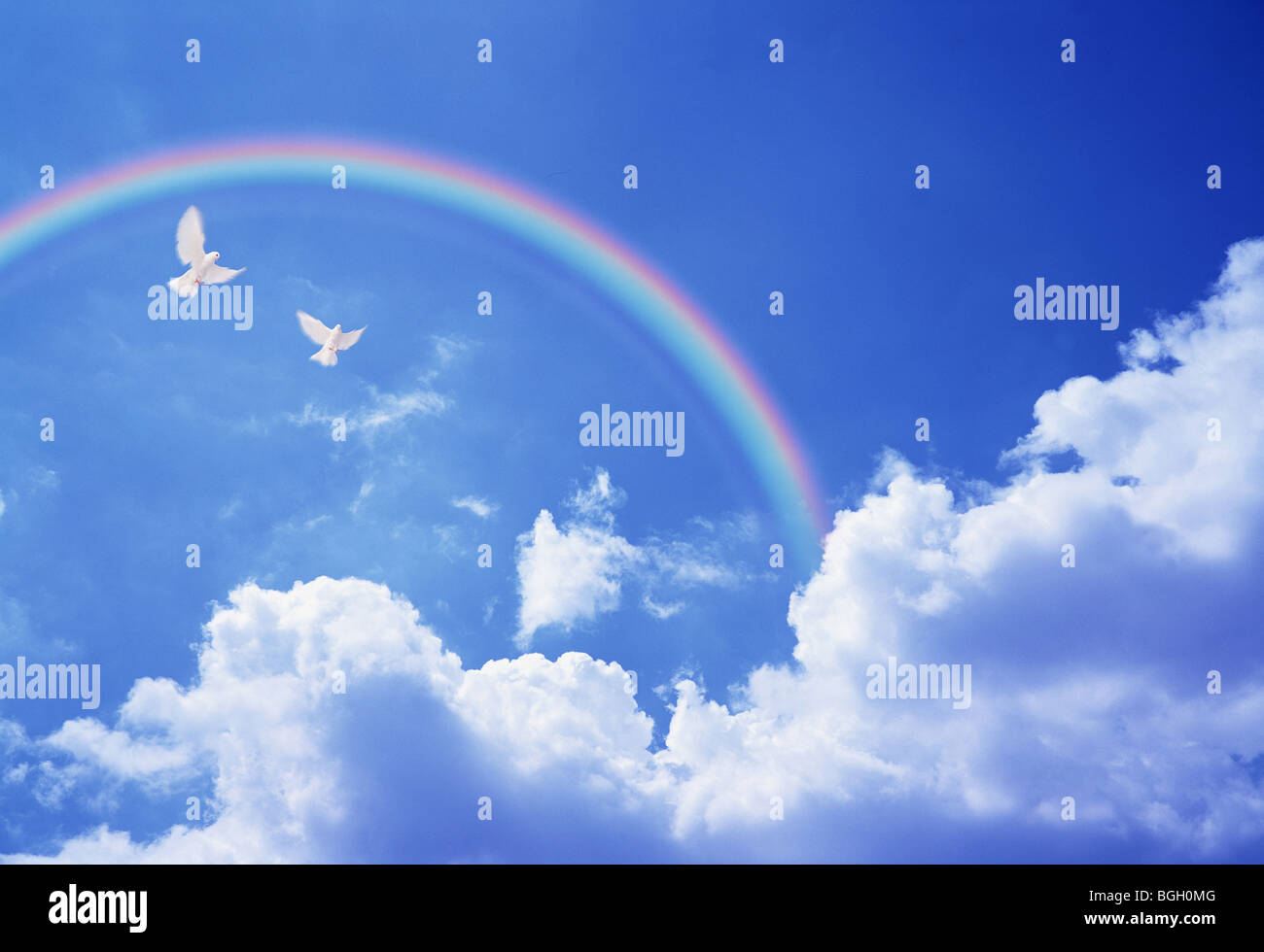 Birds flying under a rainbow Stock Photo - Alamy