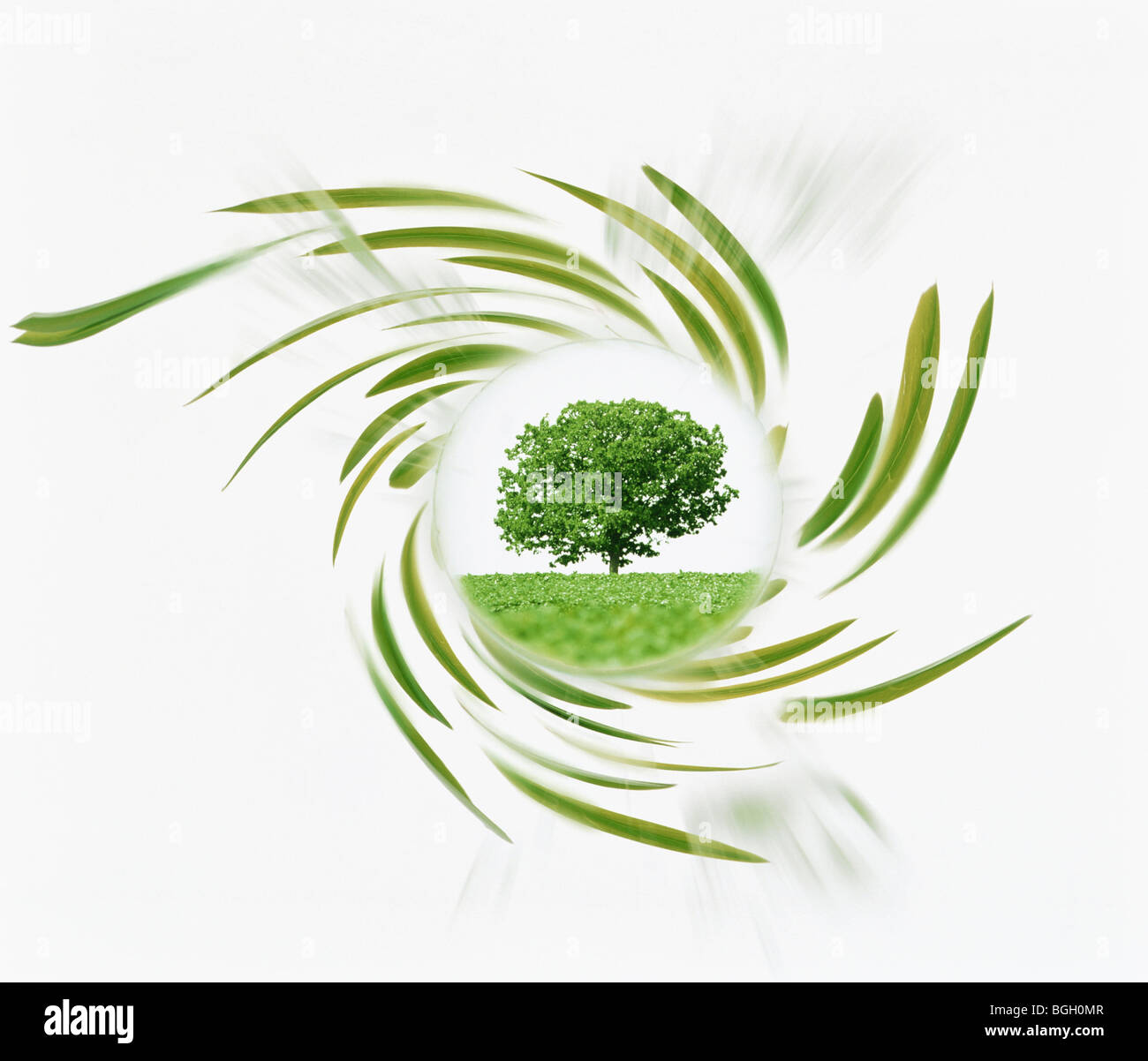 Circles of leaves Cut Out Stock Images & Pictures - Alamy