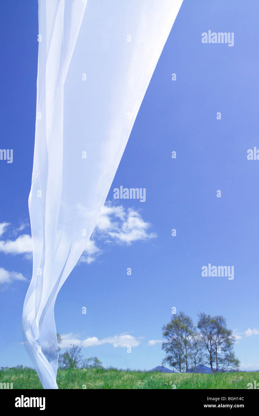 Sheet in the wind hi-res stock photography and images - Alamy