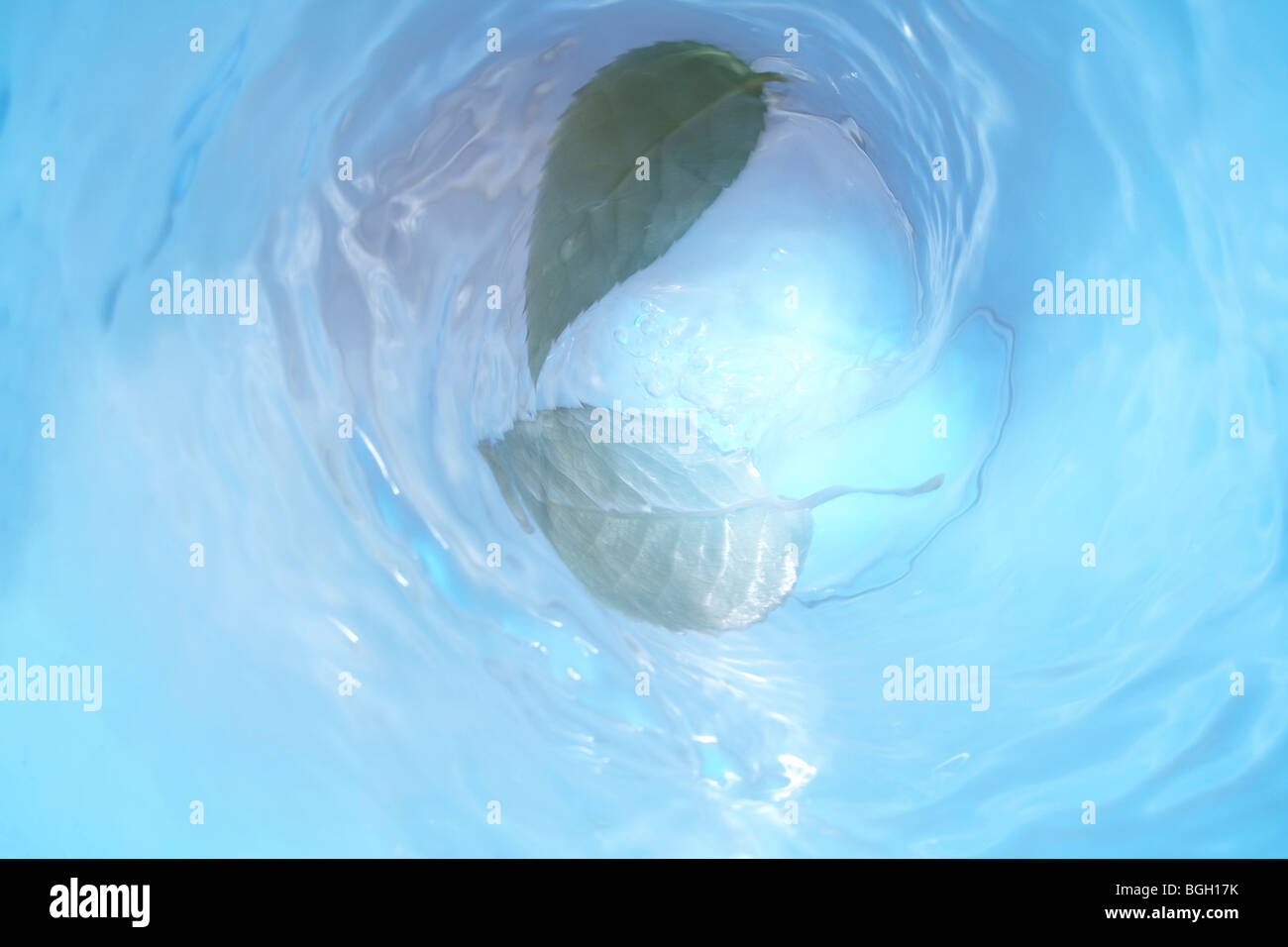 Leaf vortex hi-res stock photography and images - Alamy