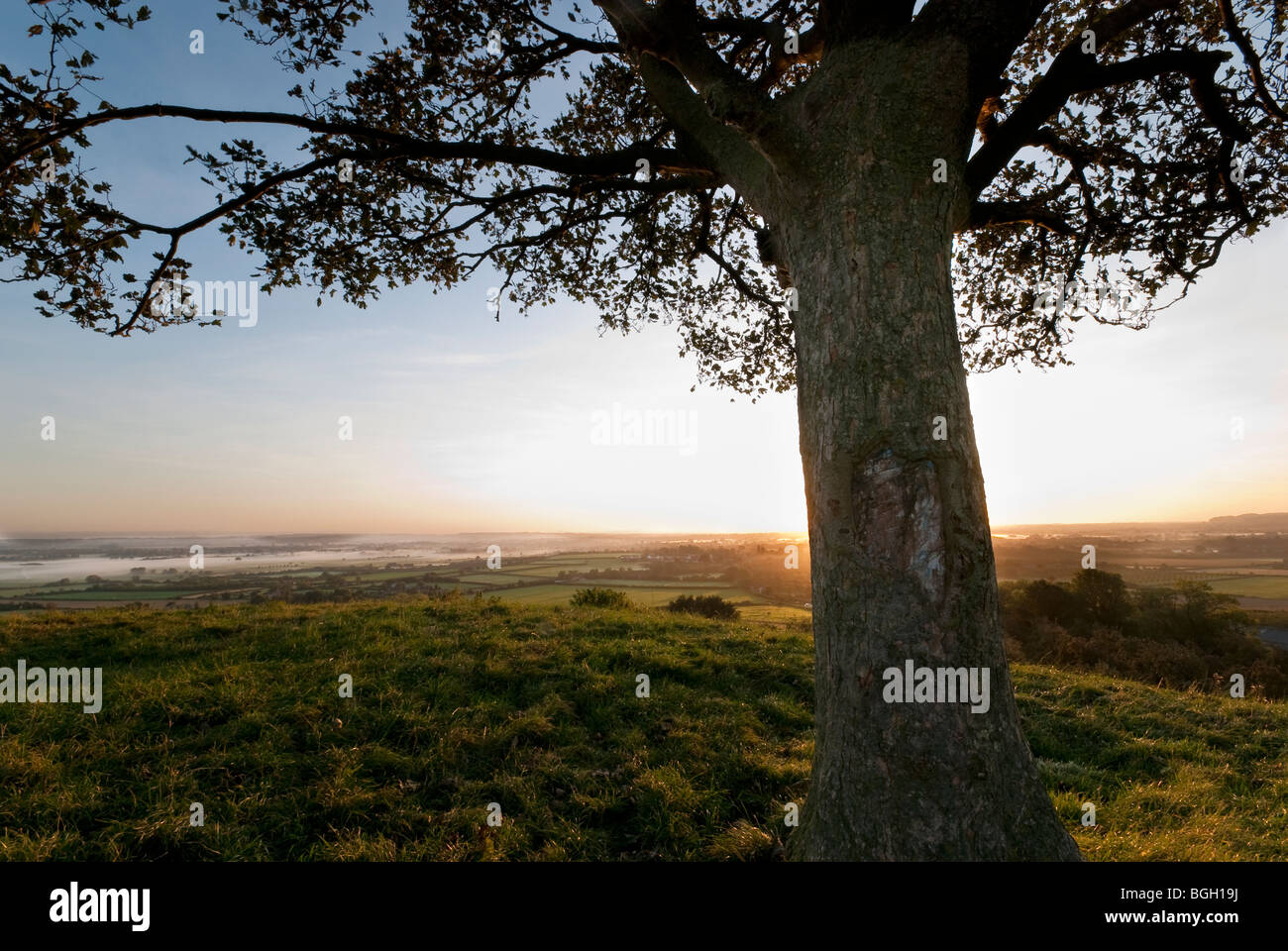 All light levels hi-res stock photography and images - Alamy
