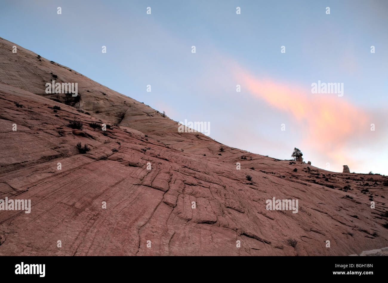 Zion National Park slope of sandstone at sunrise Stock Photo - Alamy