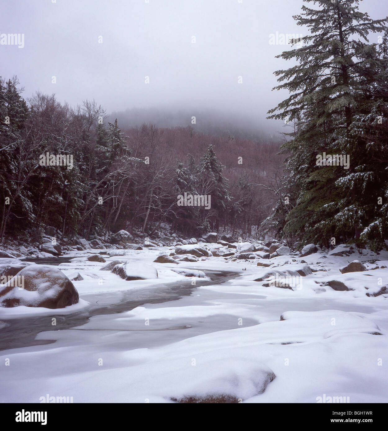 Forest stream in winter with ice and snow Stock Photo - Alamy