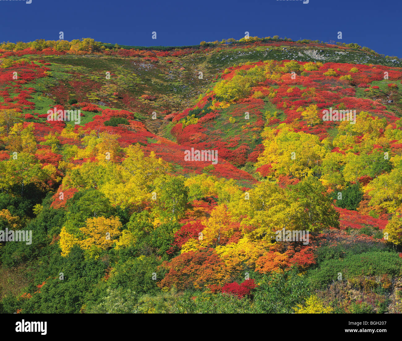 Kamikawa machi hi-res stock photography and images - Alamy