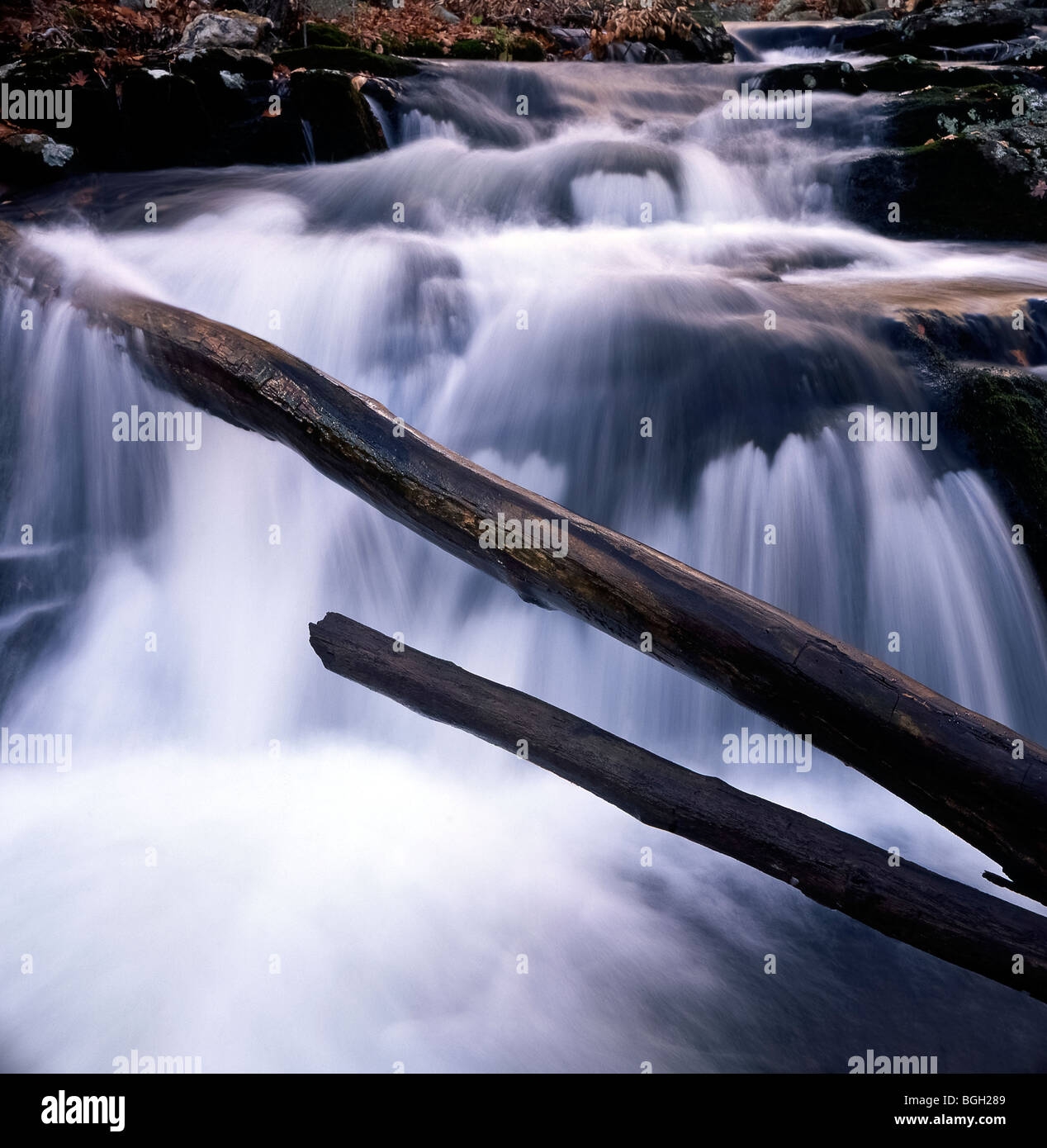 Small waterfall in forest with logs across the river in late fall Stock ...
