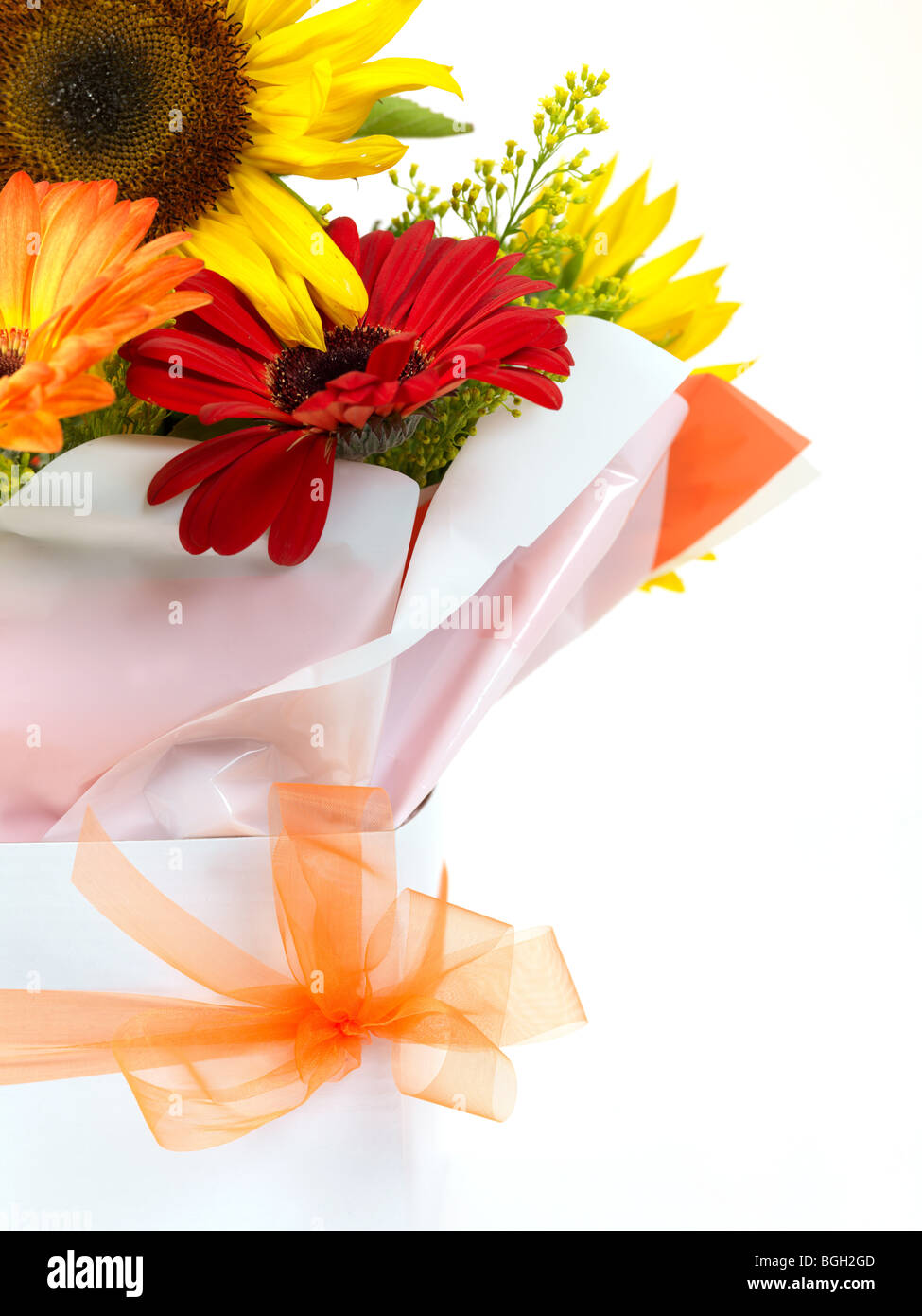 A box of flowers isolated against a white background Stock Photo - Alamy