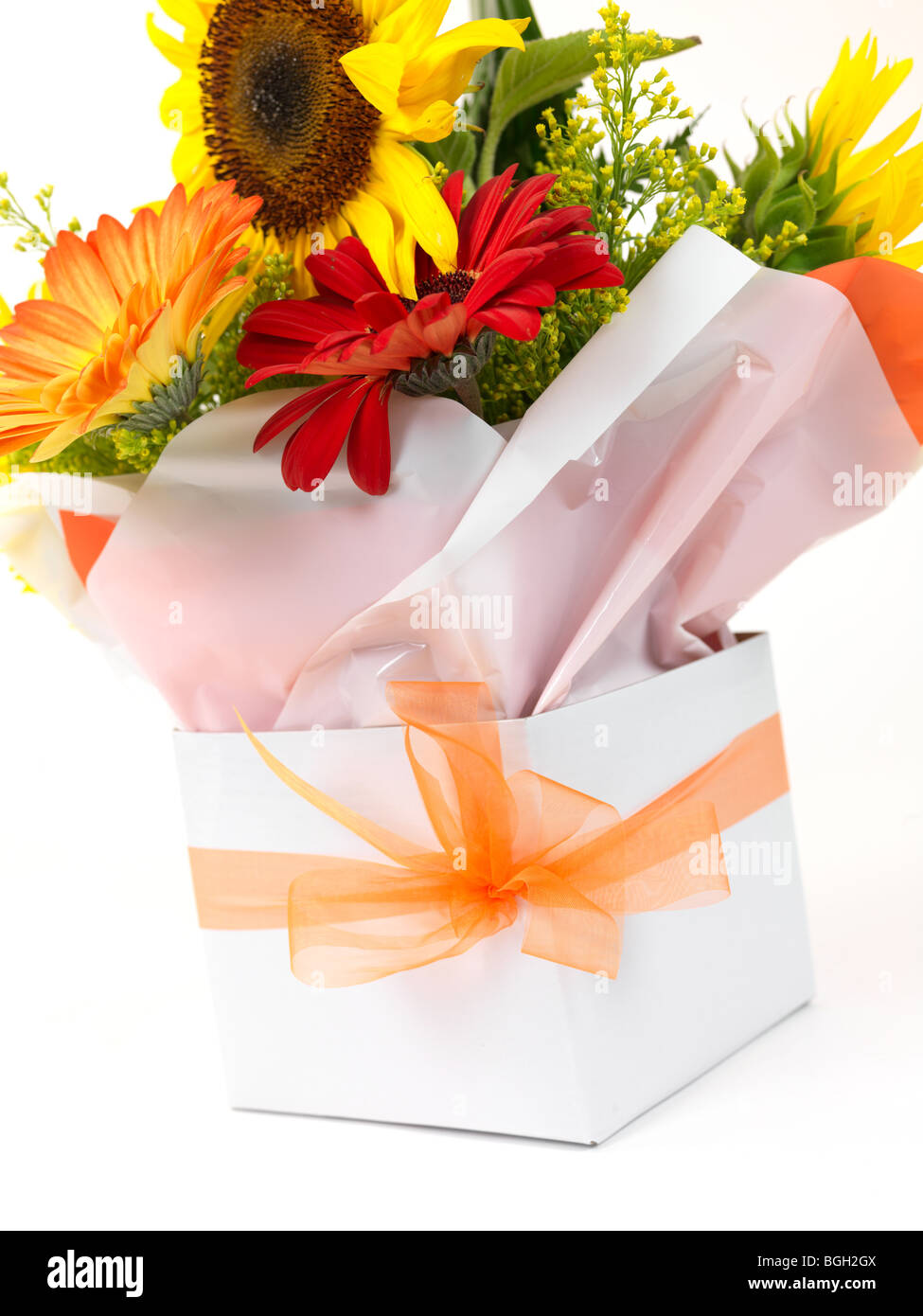 A box of flowers isolated against a white background Stock Photo - Alamy