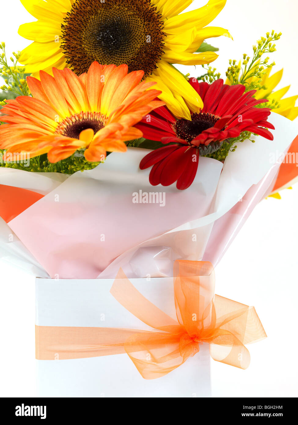 A box of flowers isolated against a white background Stock Photo - Alamy