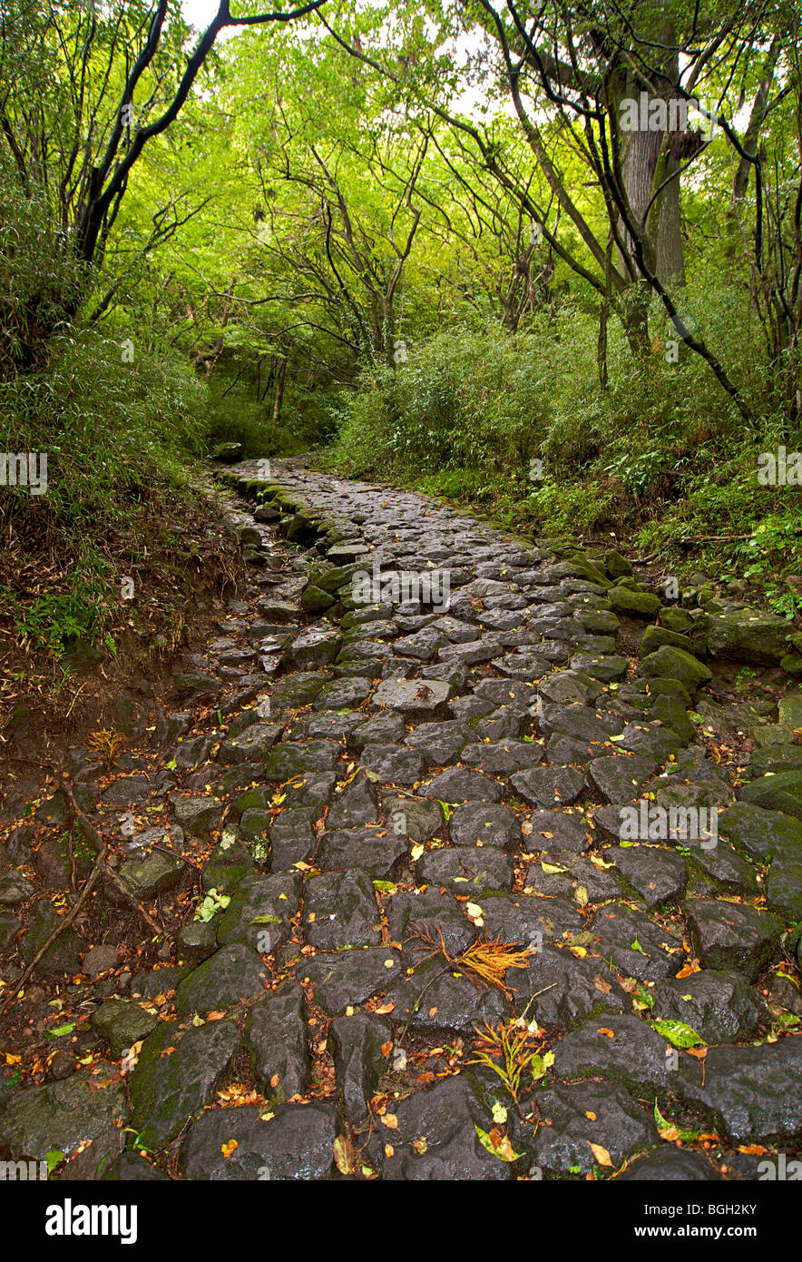 Tokaido road japan hi-res stock photography and images - Alamy