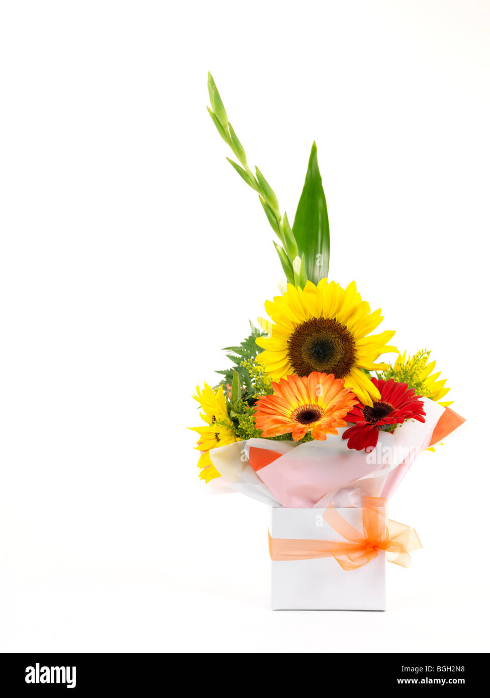 A box of flowers isolated against a white background Stock Photo - Alamy