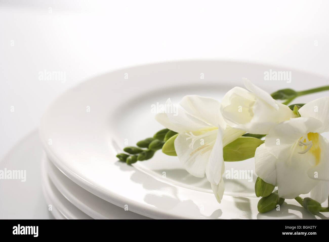 White flowers on a plate Stock Photo - Alamy
