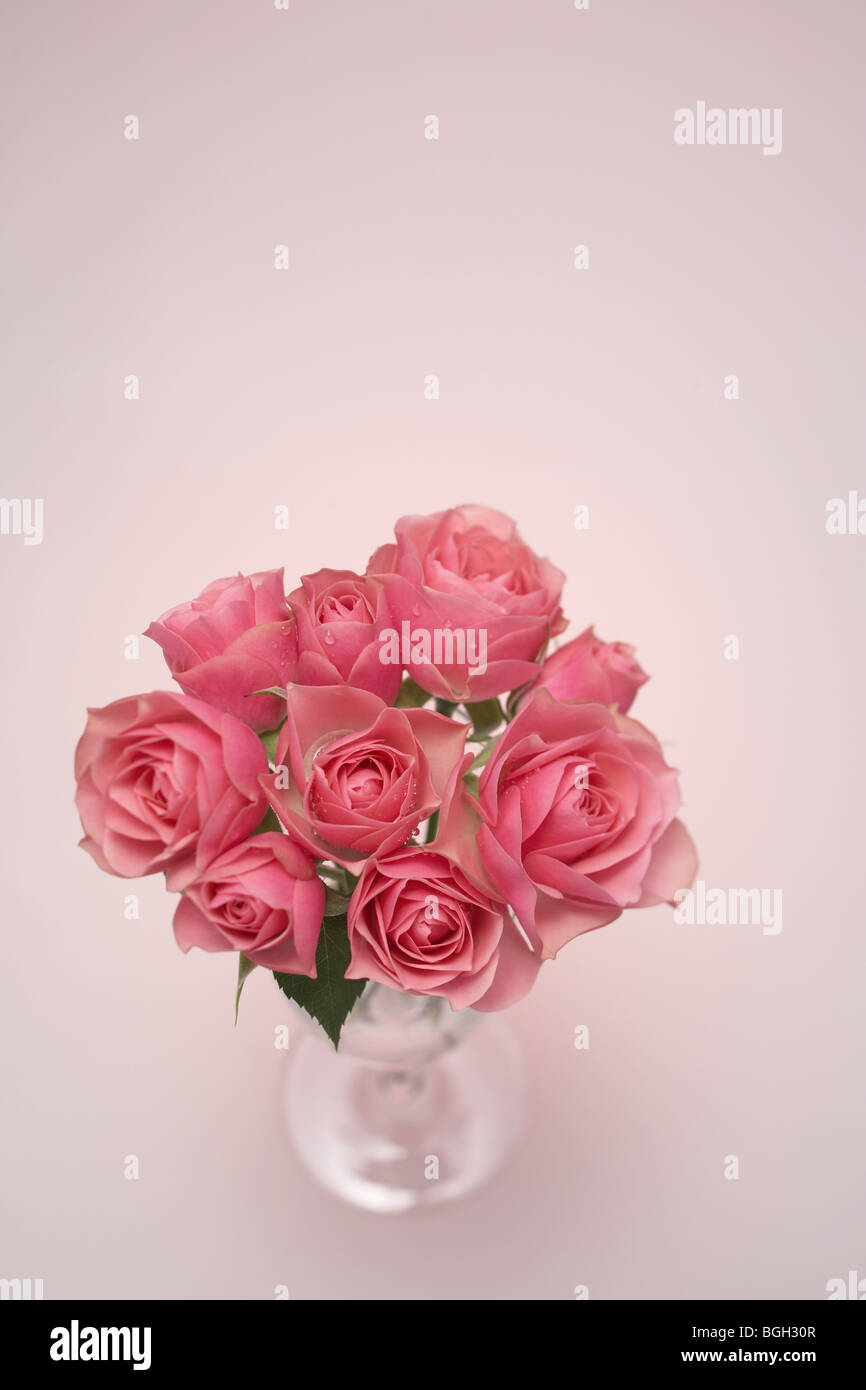 Pink roses in a vase Stock Photo - Alamy