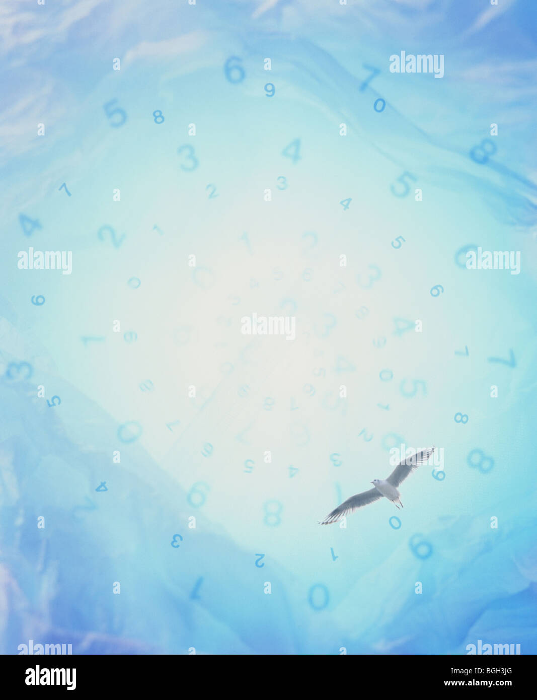 Seagull flying through numbers Stock Photo - Alamy