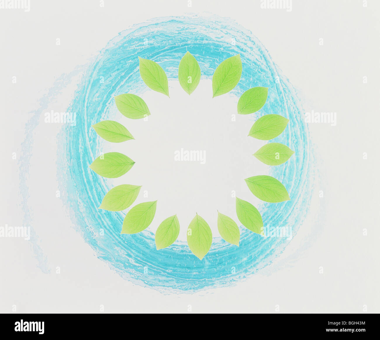 Circle of leaves Stock Photo - Alamy