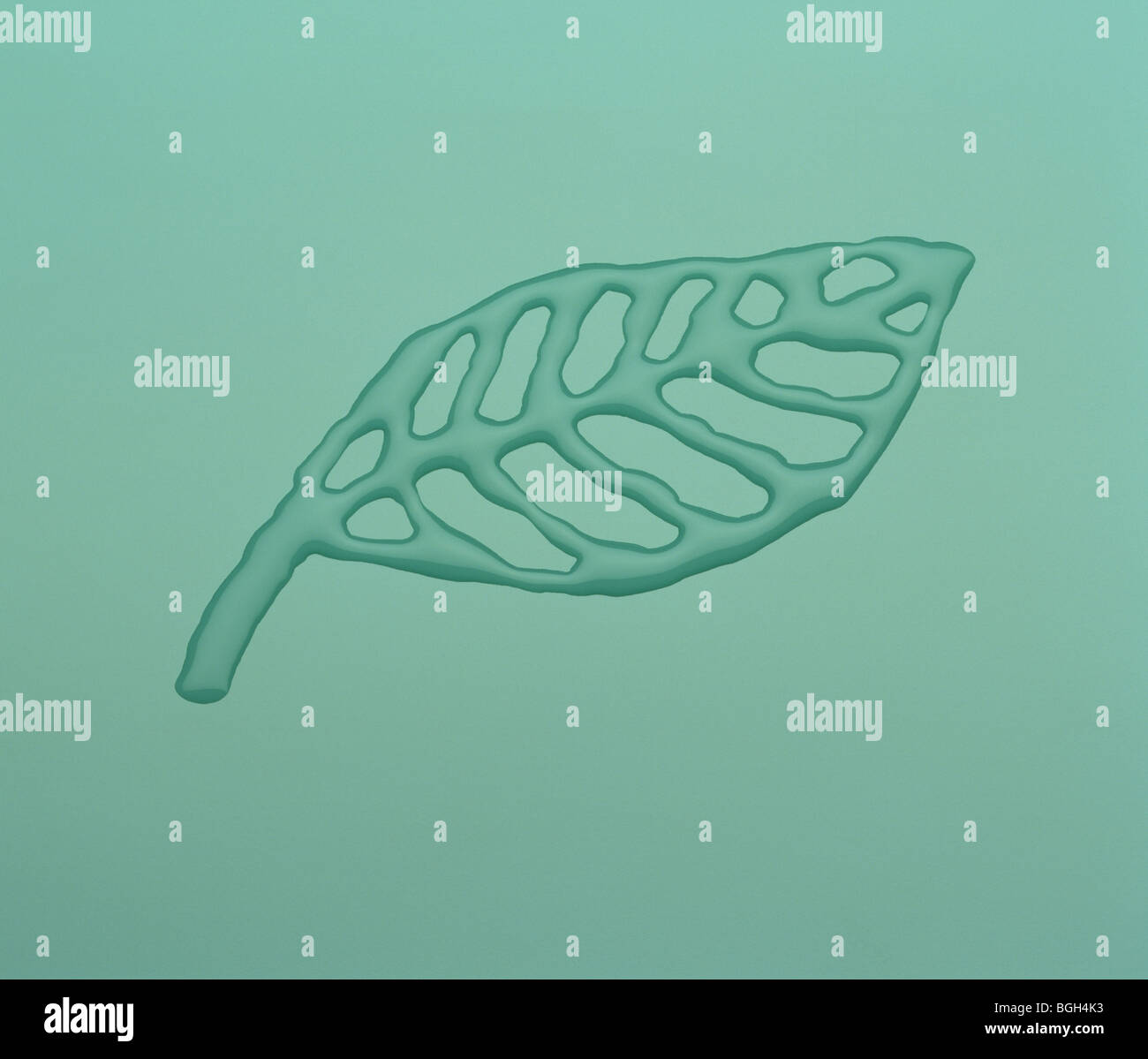 Leaf drawn with water Stock Photo - Alamy